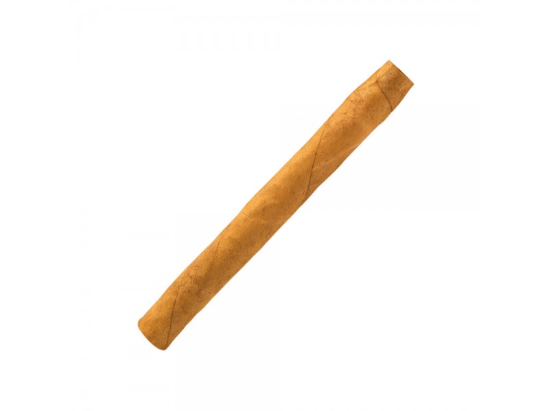 Panter Blue Machine Made Cigars | Buy Online at Discounted Pricing