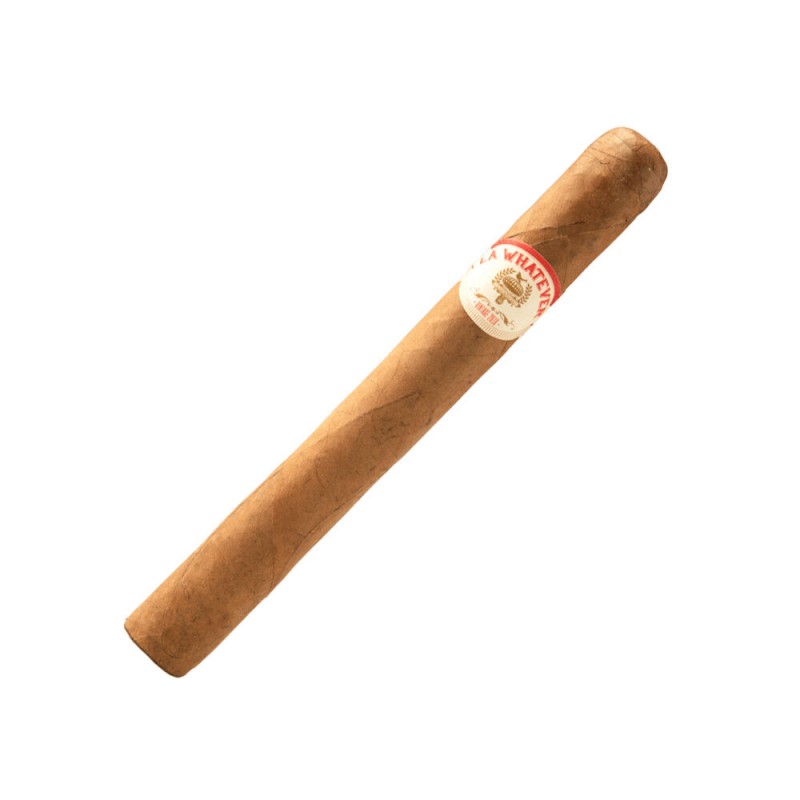 Lost and Found La Whatever Fat Corona Handmade Cigars | Buy Online at ...