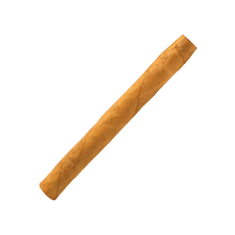 Panter Blue Machine Made Cigars | Buy Online at Discounted Pricing